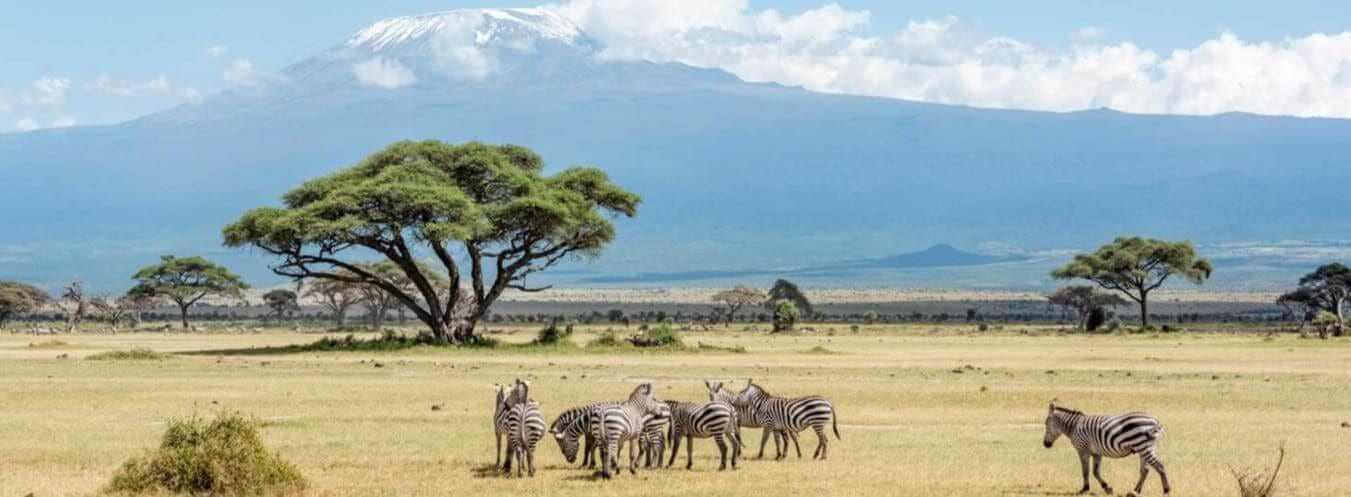 MoAfrika Tours - Africa's Leading Tour Operator Since 1999*